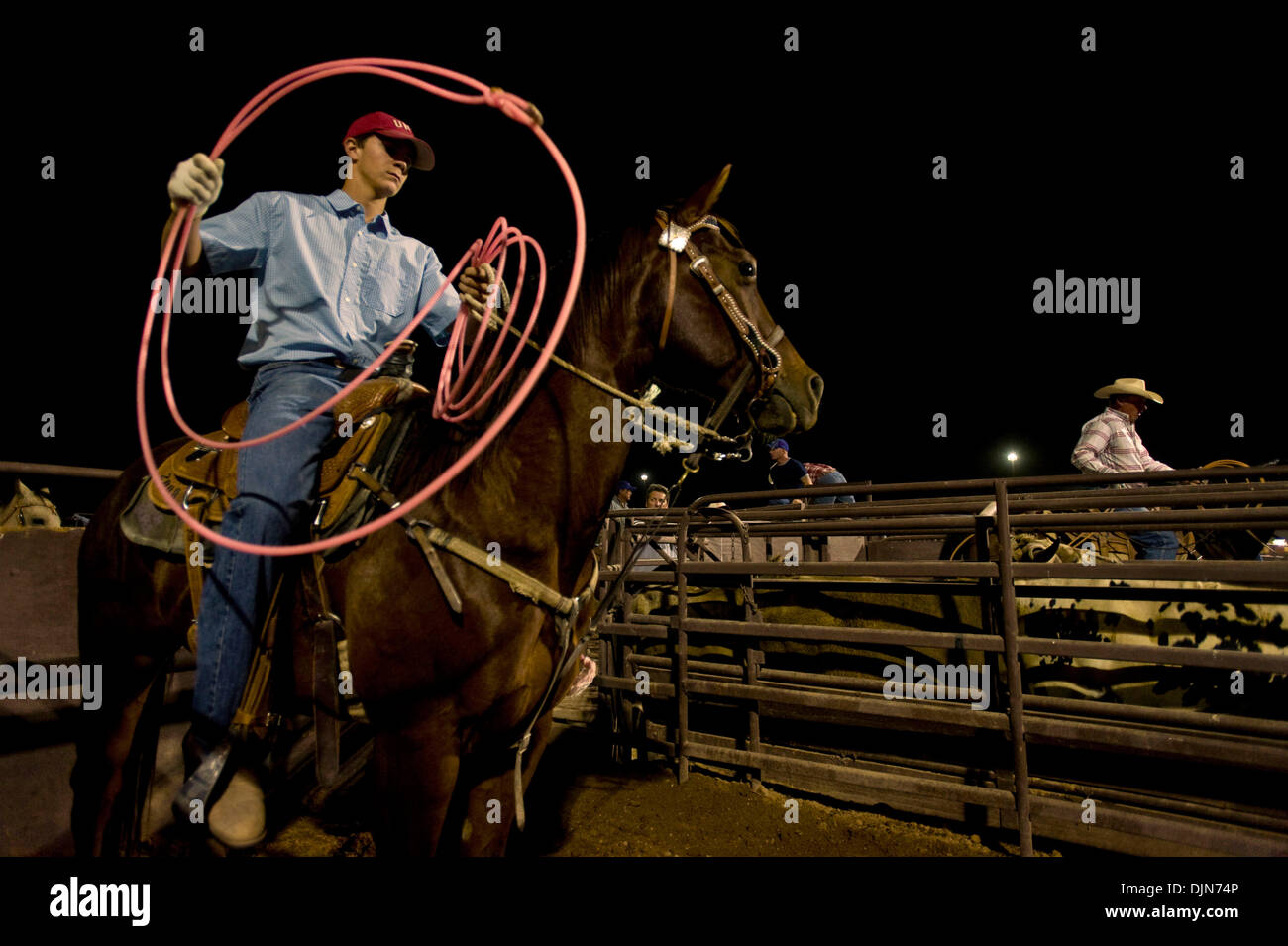 Calf roping chute hi-res stock photography and images - Alamy