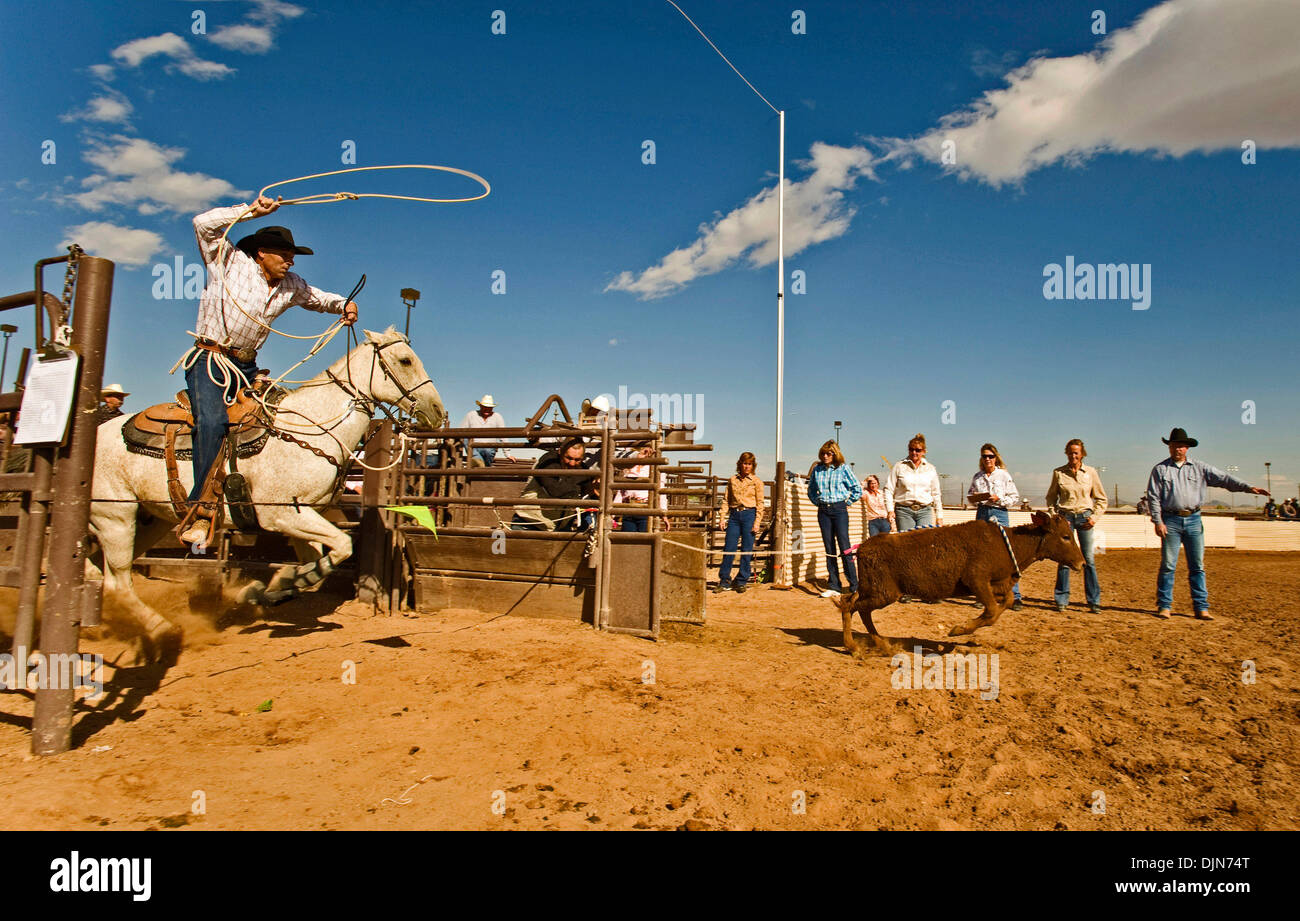 Oct 03, 2008 - Las Vegas, Nevada, USA - A roper about to break from his ...