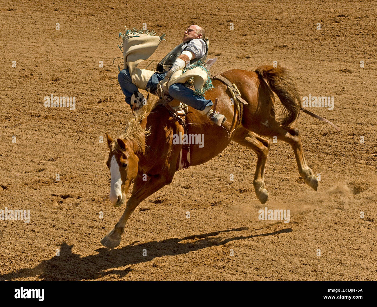 Las vegas national rodeo hi-res stock photography and images - Alamy