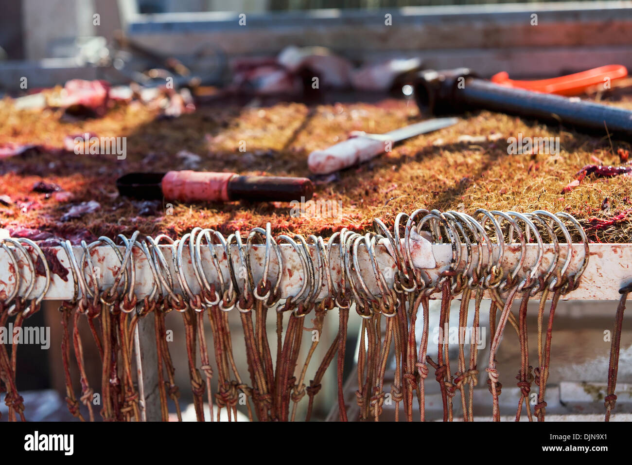 Alaska baiting fish hi-res stock photography and images - Alamy