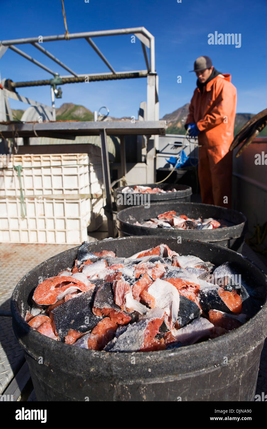 Caucasian male baiting hook hi-res stock photography and images - Alamy
