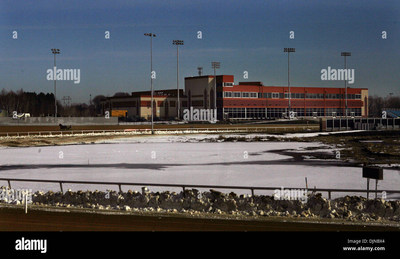 Running horses new forest hi-res stock photography and images - Alamy