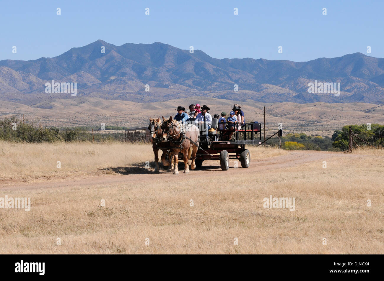 The Roundup & Open House, a celebration of the cowboy, at the Empire ...