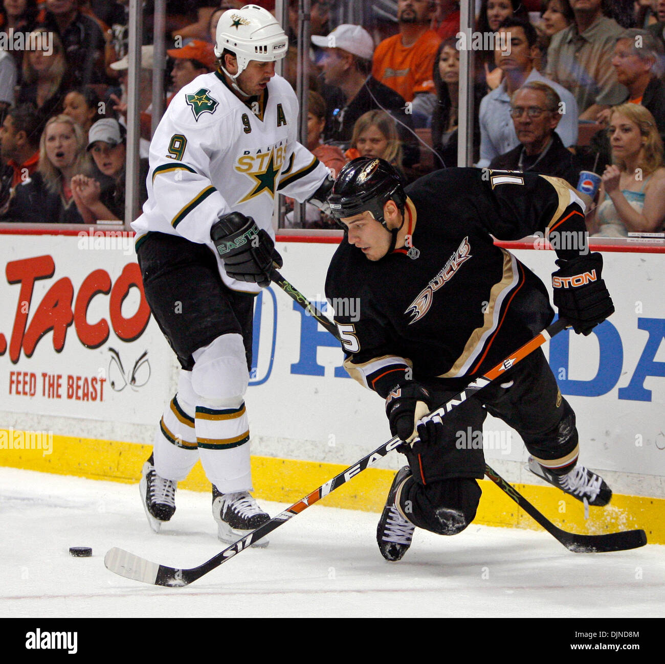 Apr 12, 2008 - Anaheim, California, USA - Dallas Stars center MIKE ...