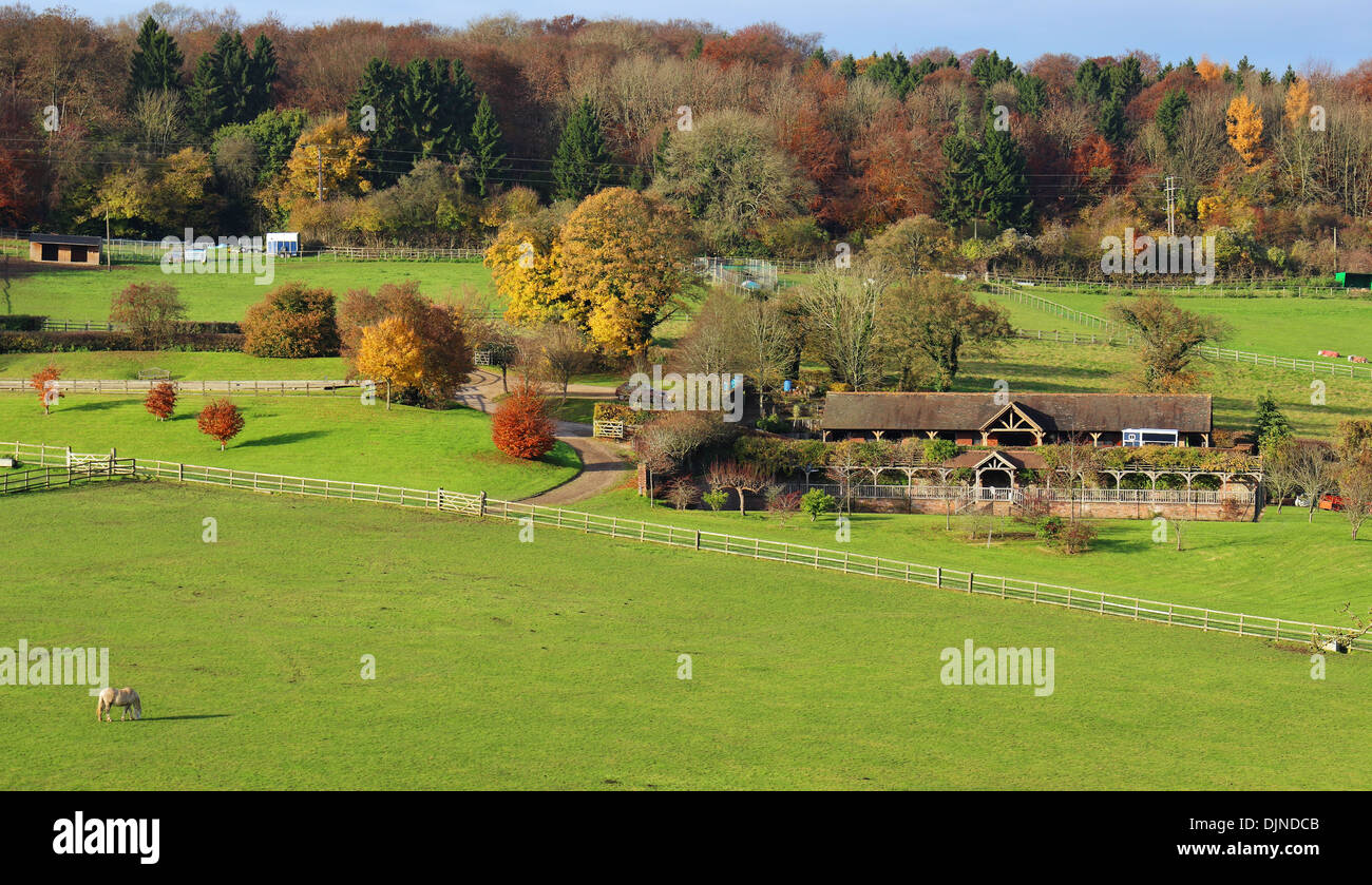 An English Rural Landscape in Autumn in the Chiltern Hills with ...
