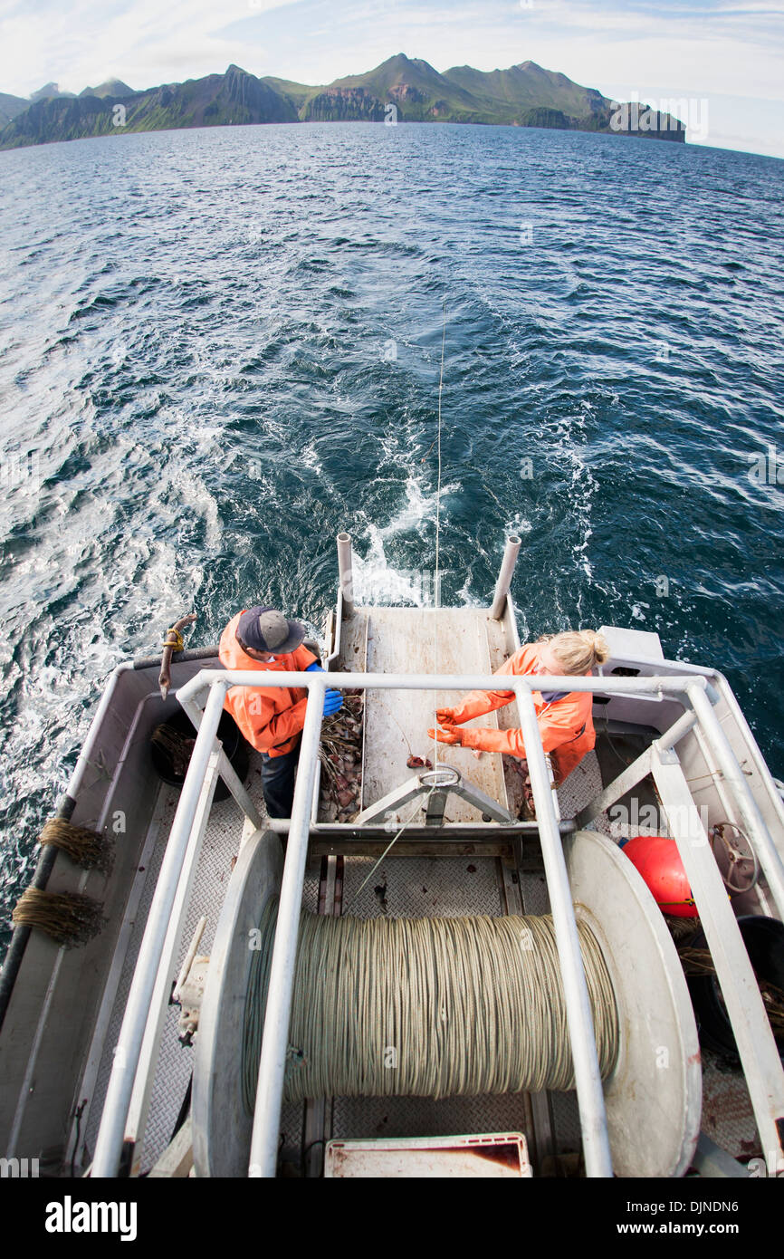 Halibut longline hi-res stock photography and images - Alamy