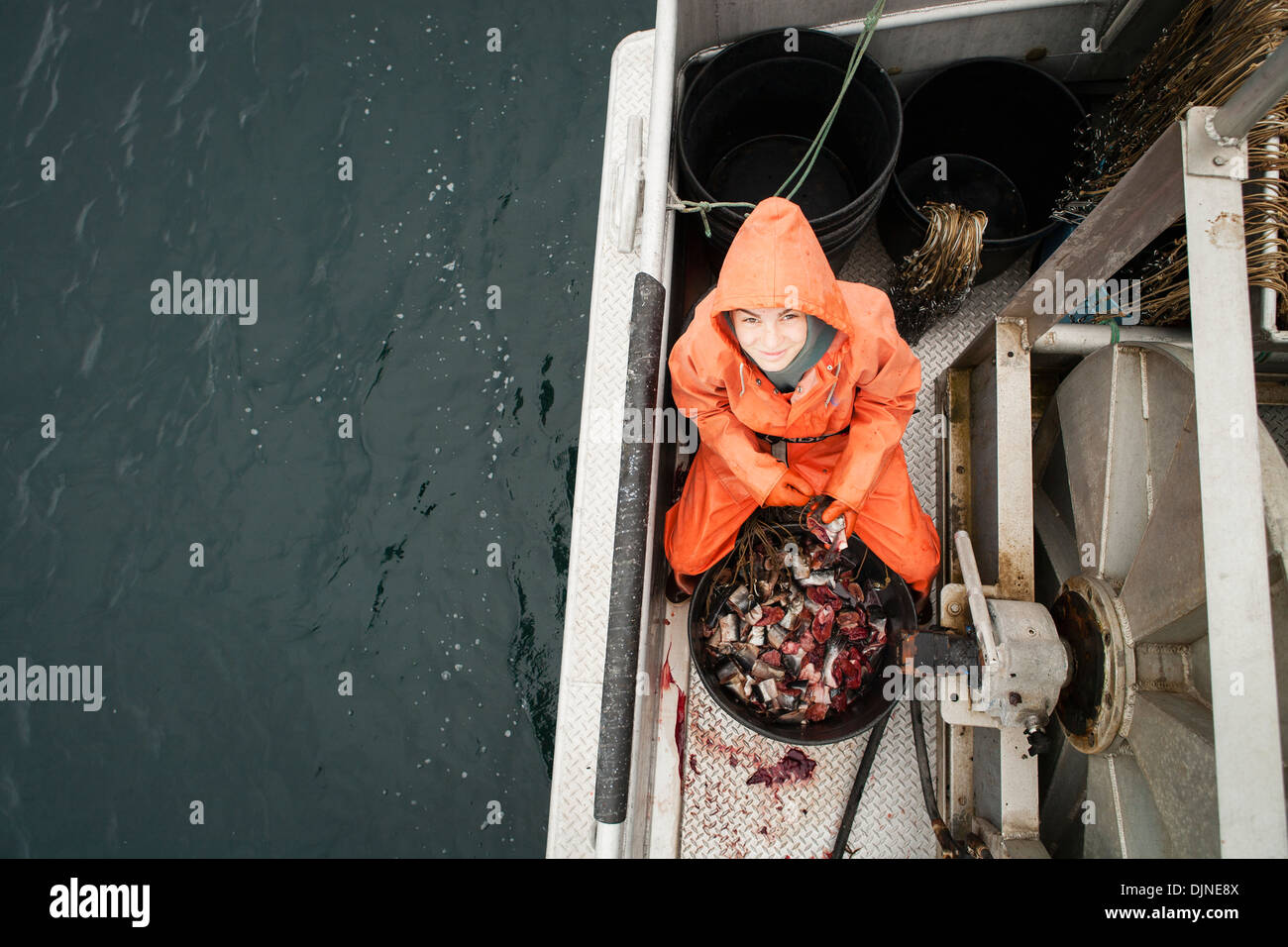 Baiting Halibut Longline Hooks With Pink Salmon While Preparing To ...