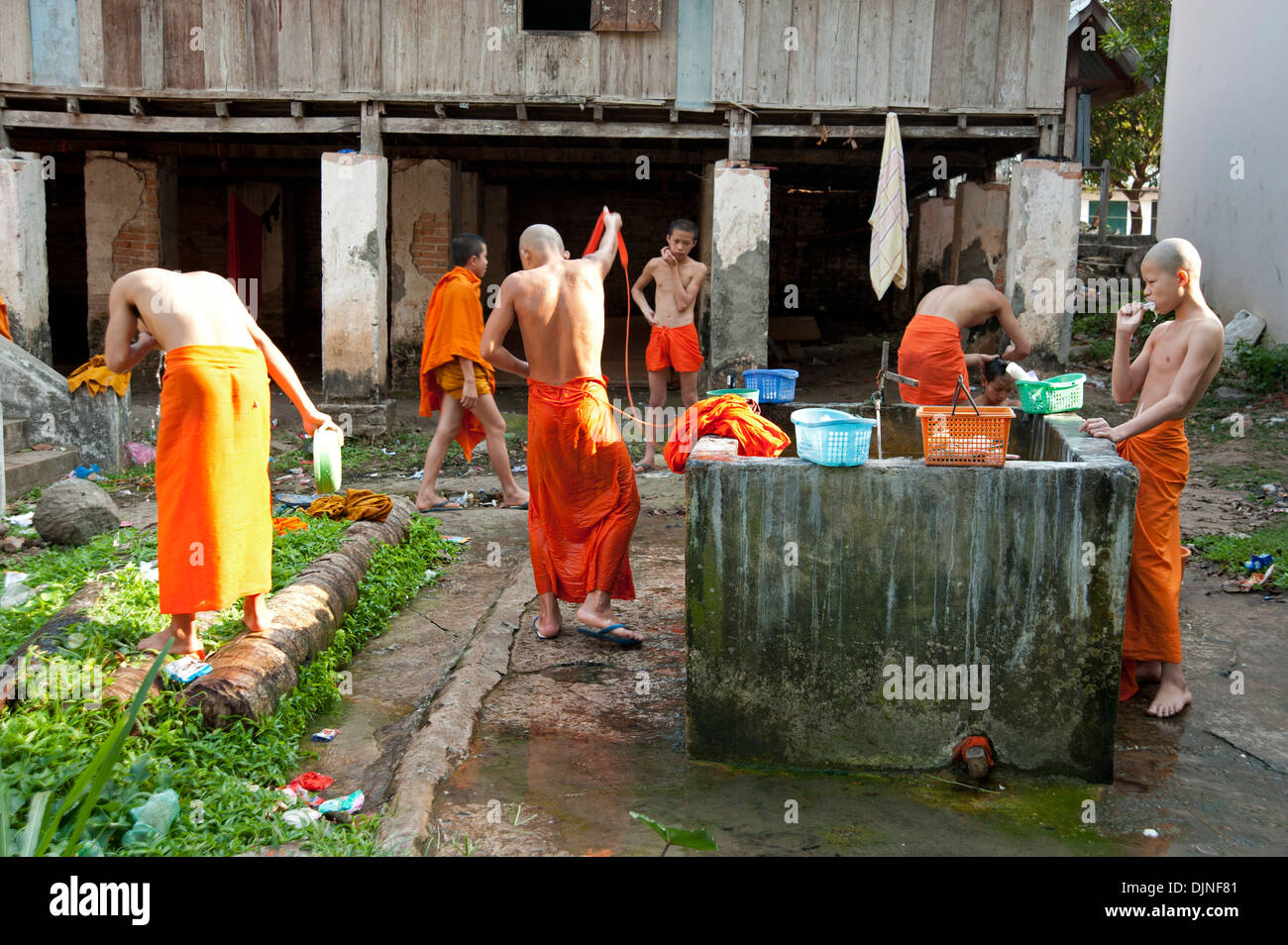 A group of monks washing and teeth cleaning in temple grounds Luang ...