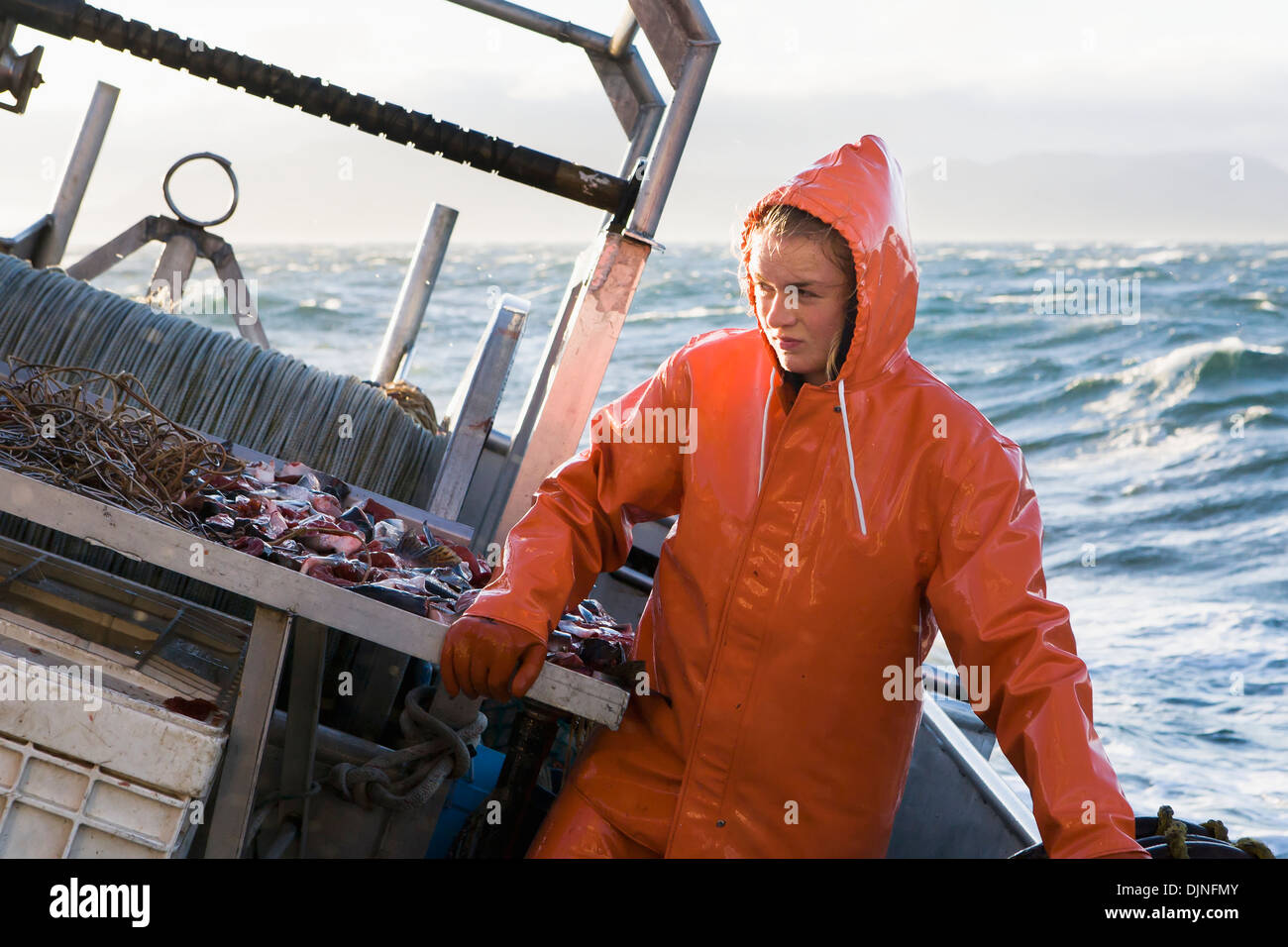 Commercial Halibut Fishing Longline Hooks High Resolution Stock ...