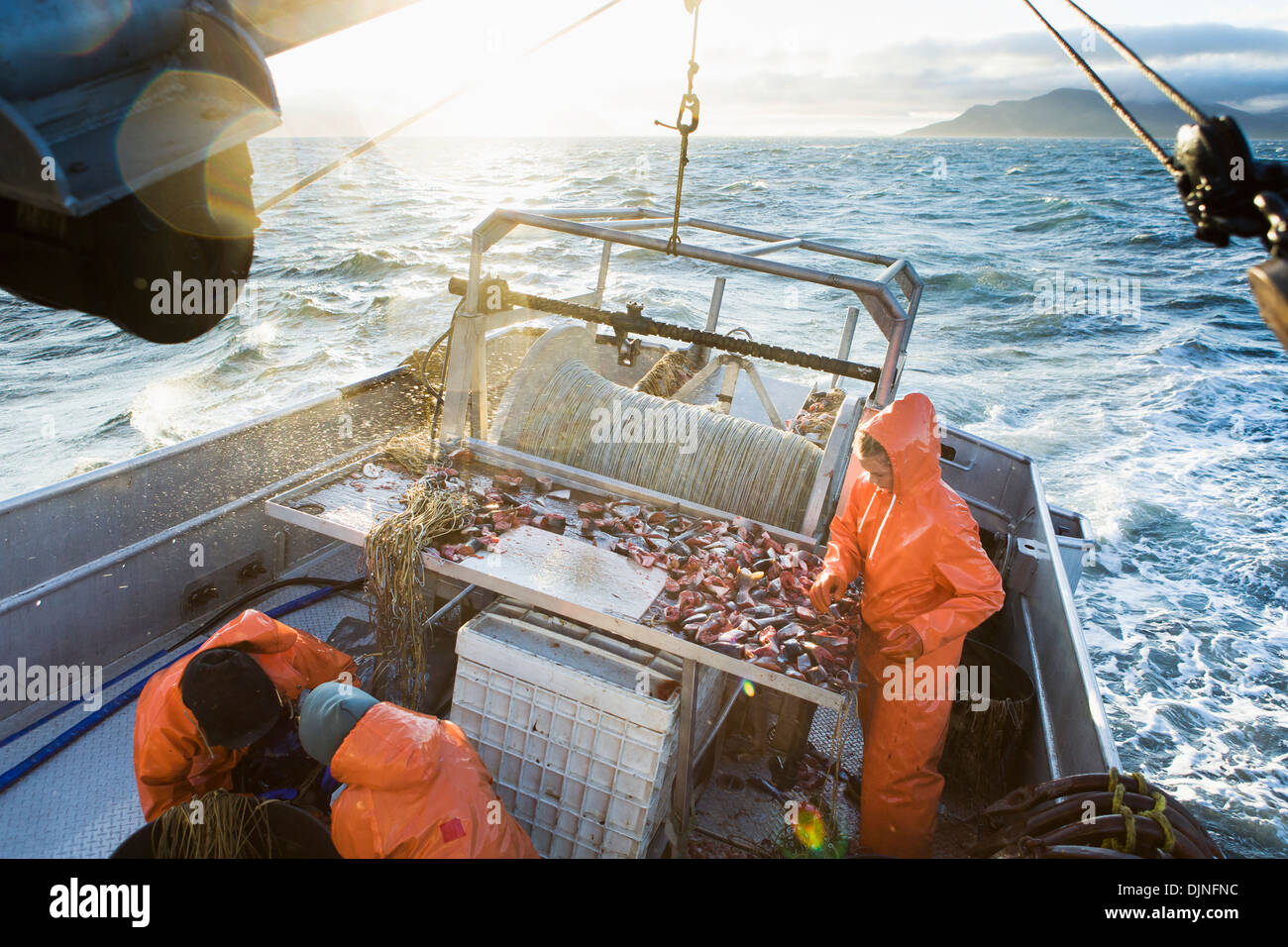Commercial halibut fishing longline hooks hi-res stock photography and ...
