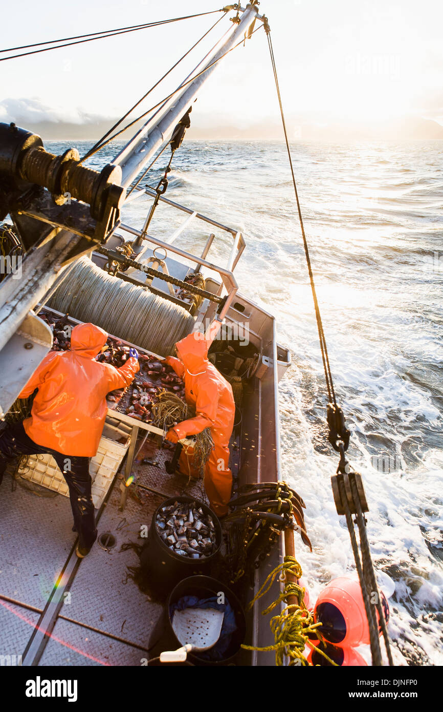 Halibut longline hi-res stock photography and images - Alamy