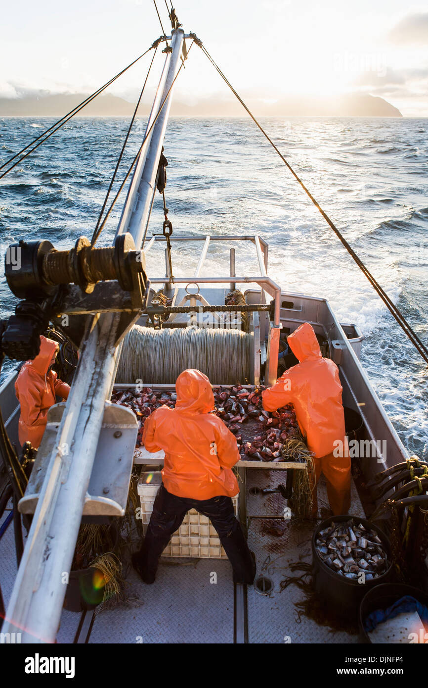 Commercial Halibut Fishing Longline Hooks High Resolution Stock ...