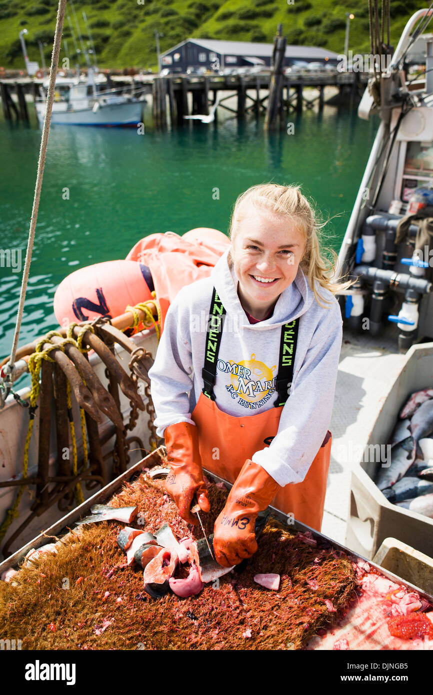 Preparing Pink Salmon For Commercial Halibut Longlining Bait, King Cove ...