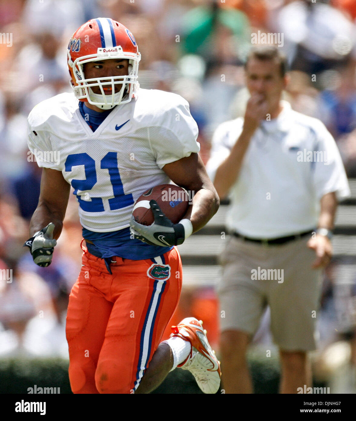 University of florida gators hi-res stock photography and images - Alamy