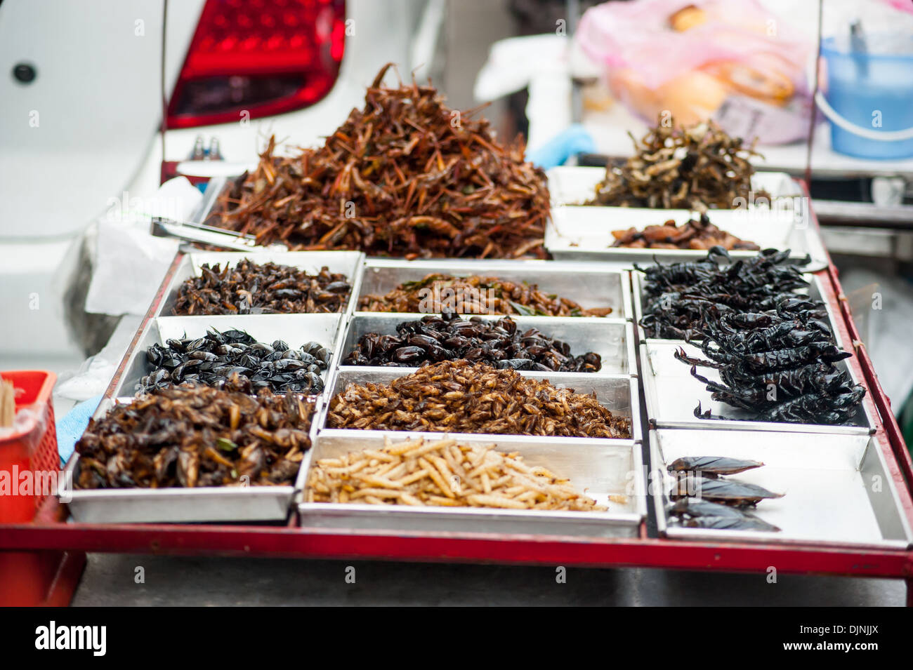 How to eat fried worms hi-res stock photography and images - Alamy