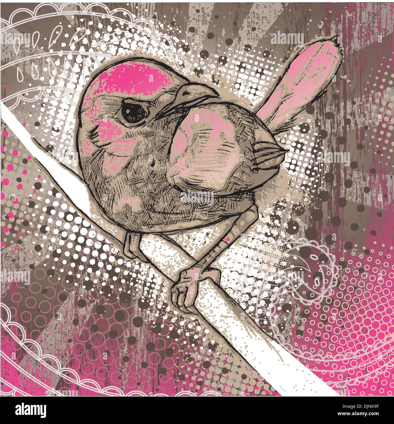 Detailed bird study hi-res stock photography and images - Alamy