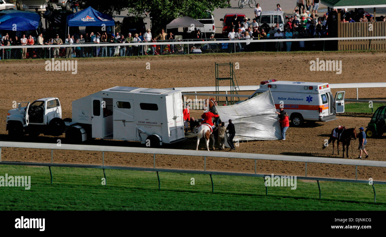 Eight Belles is tended to after breaking down after the finish of the ...