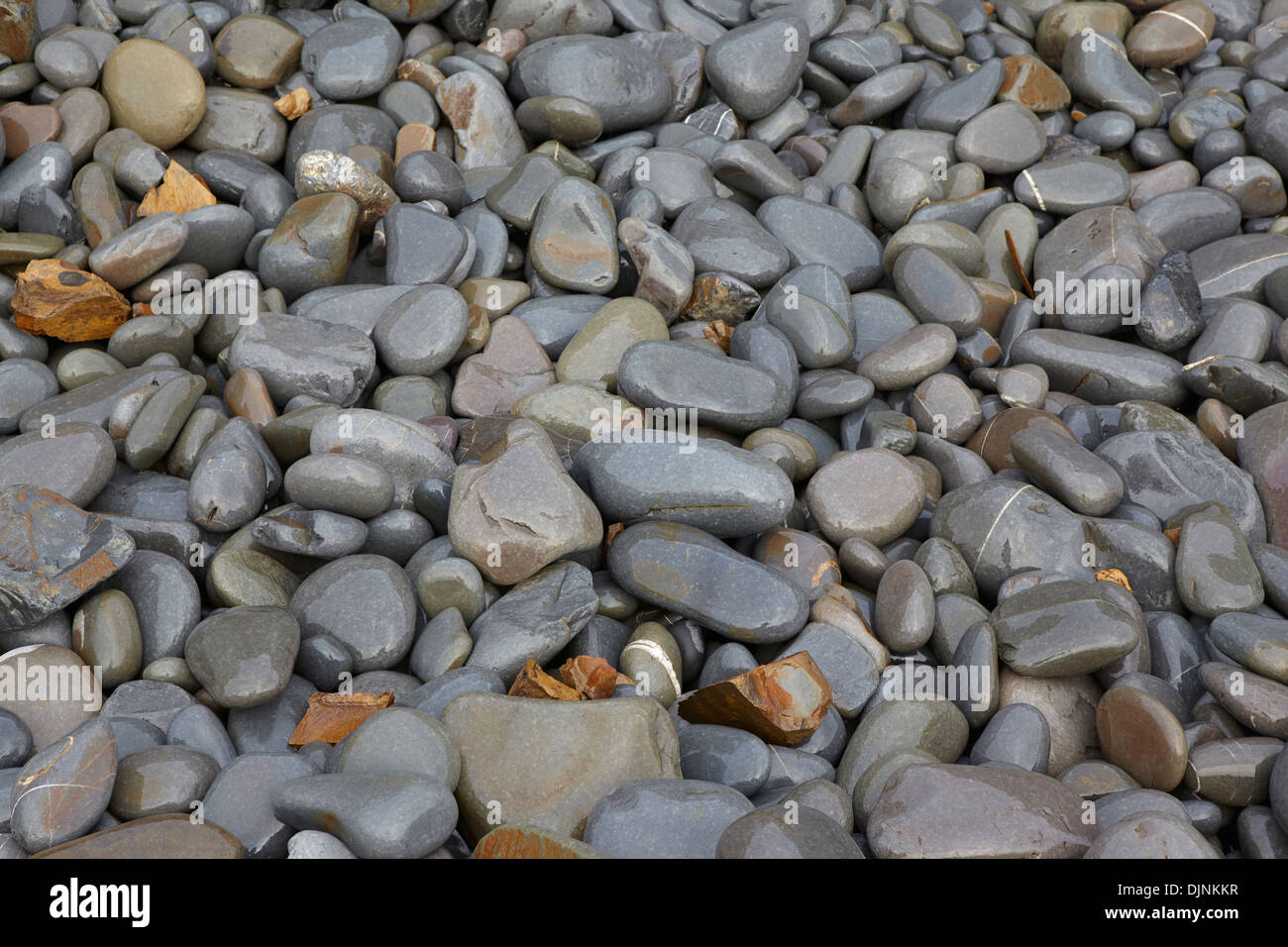 wet pebbles on beach Stock Photo - Alamy