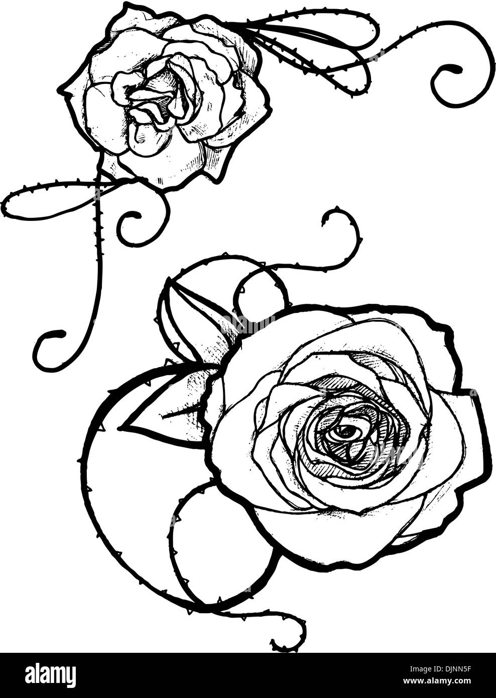 Pencil and roses Cut Out Stock Images & Pictures - Alamy