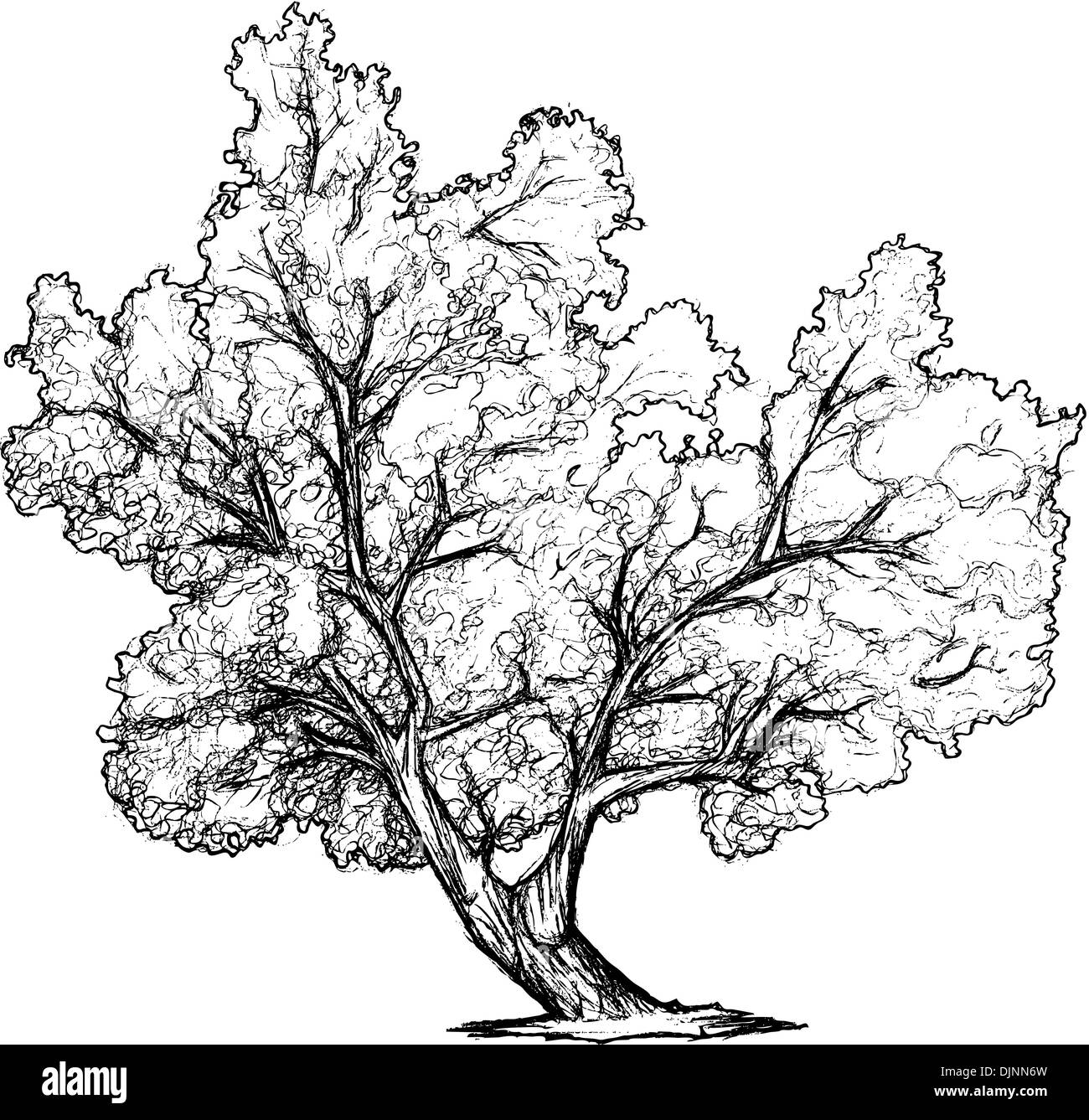 Tilted Tree Drawing