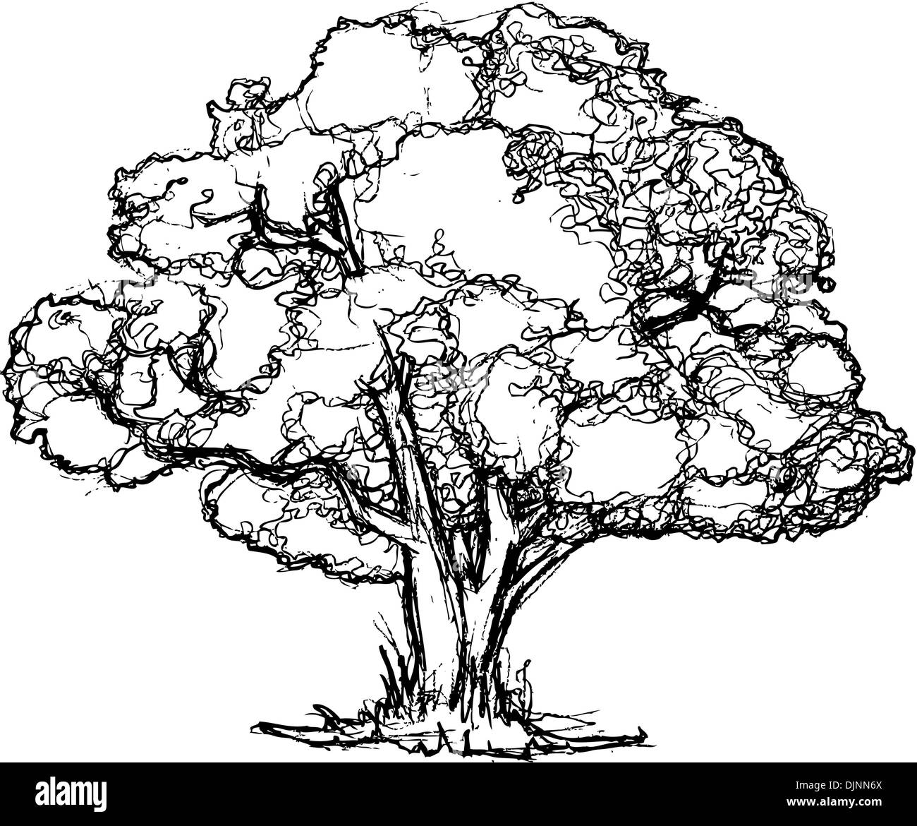 Large hand drawn tree Stock Vector Image & Art - Alamy