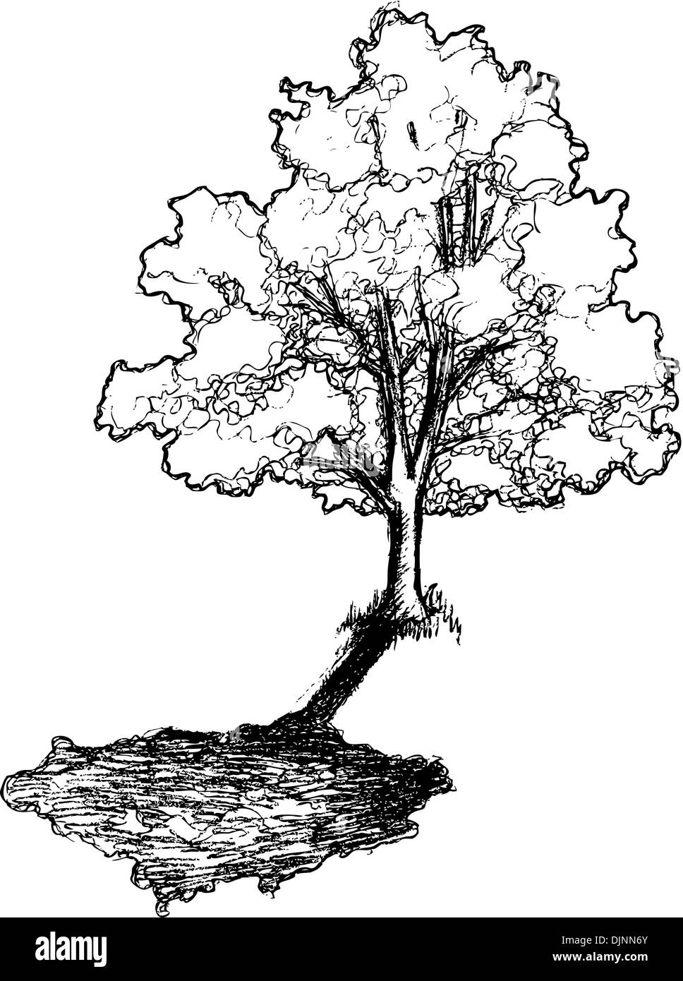 Sketch of tree with shadow Stock Vector Image & Art - Alamy