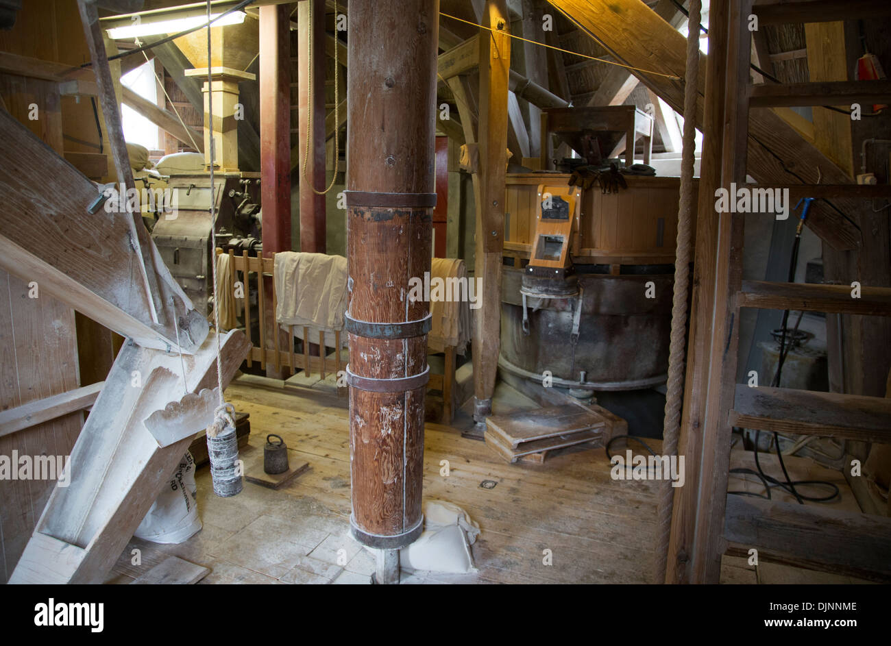 Zwaluw hi-res stock photography and images - Alamy