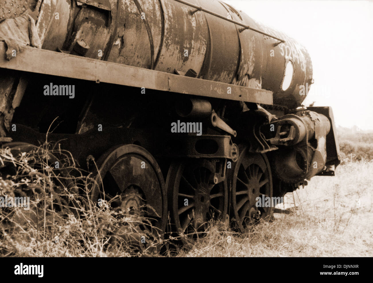 Scrapyard of British steam locomotives at Woodhams Yard in Barry Stock ...