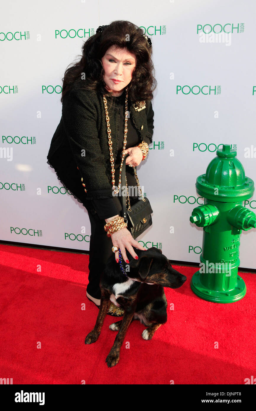 Barbara Van Orden Grand opening of the Pooch Hotel Los Angeles ...