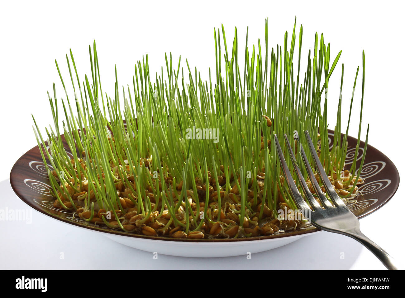 Wheat germ hi-res stock photography and images - Alamy