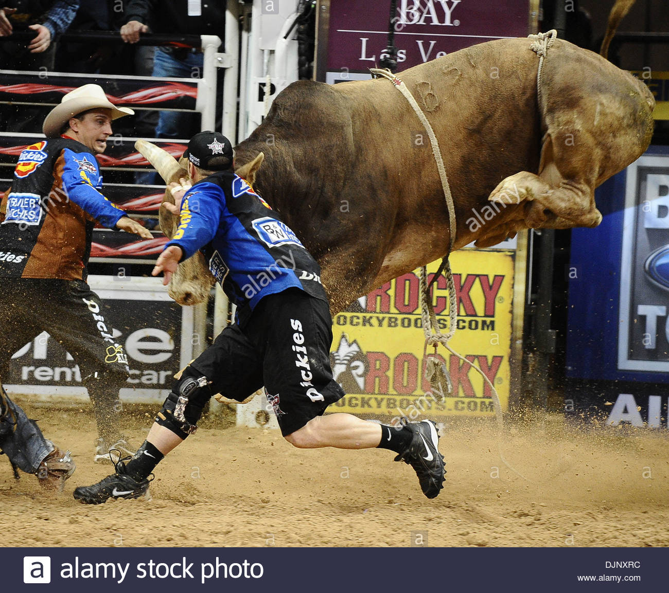 Pbr Bull Riding World Finals High Resolution Stock Photography and ...