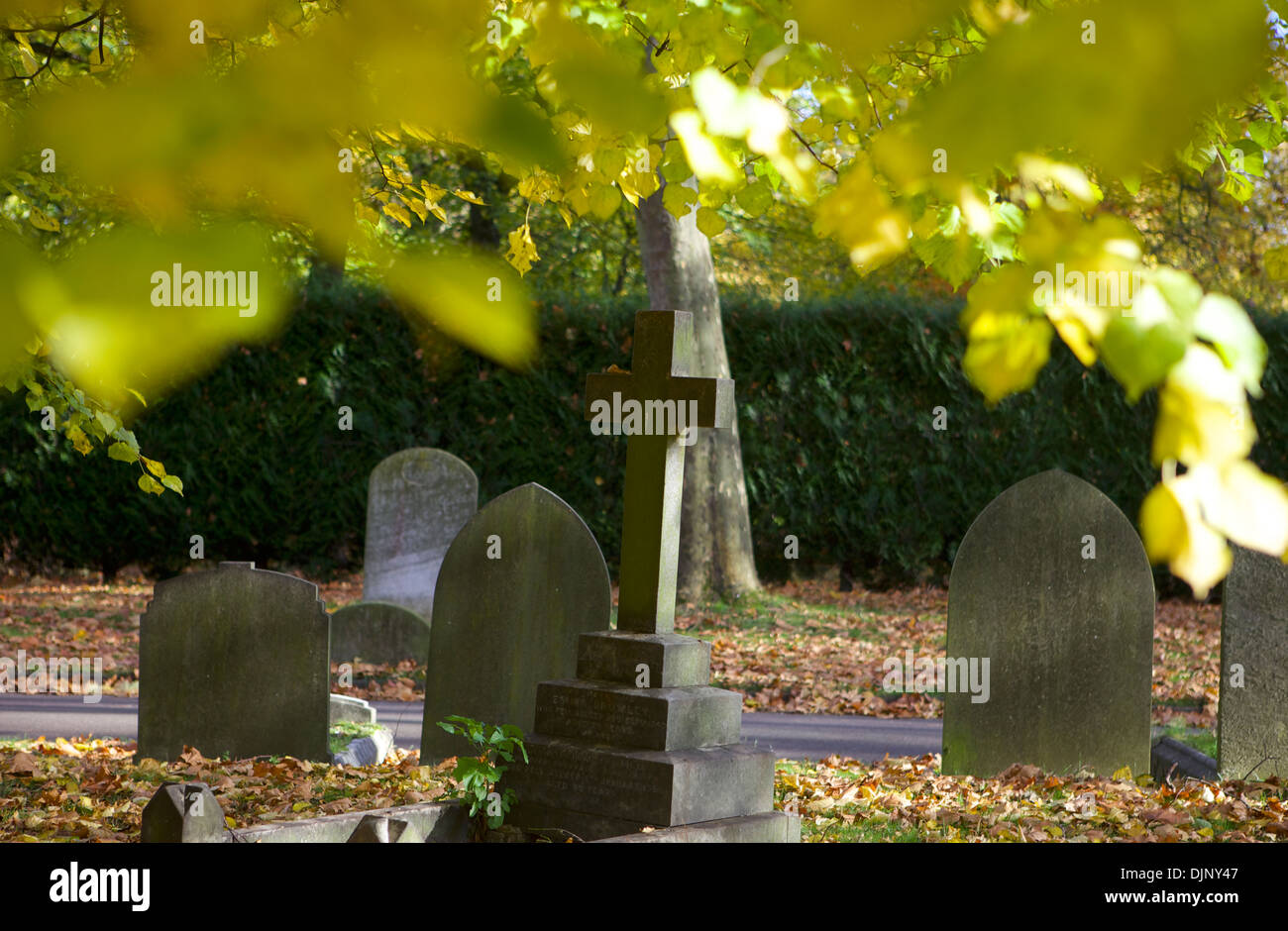 Grave stones on Sunny autumn day at the City of London Cemetery, London ...