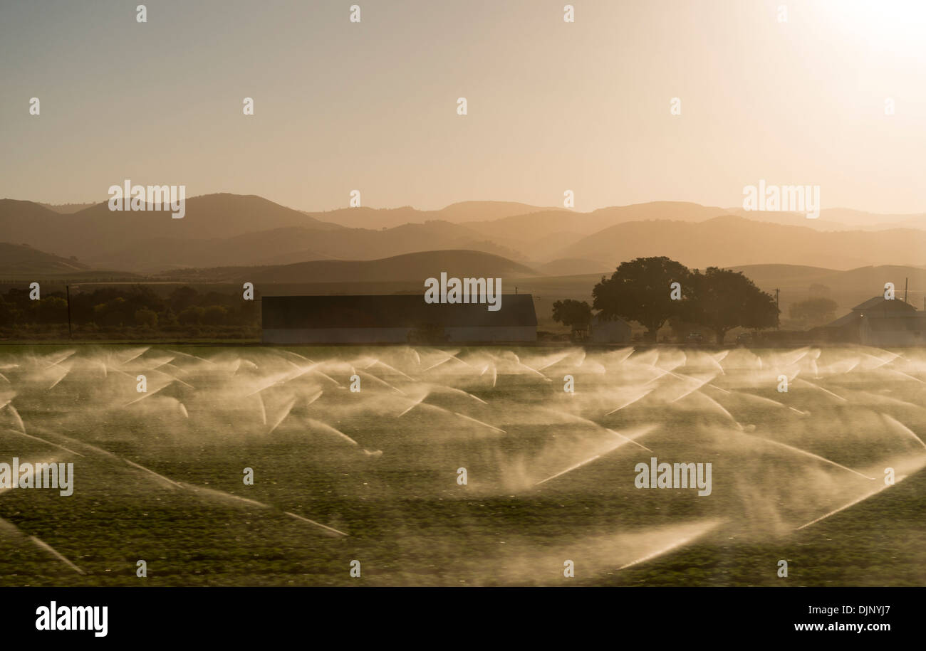 Spraying crops hi-res stock photography and images - Alamy