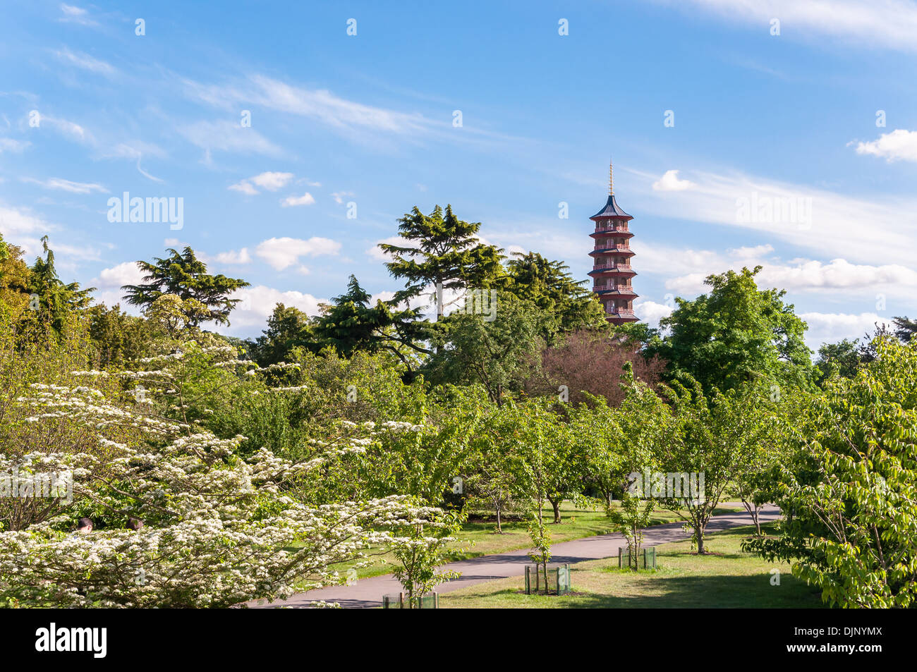 Trees, alley and Pagoda in Royal Botanic Gardens, Kew, London, England ...