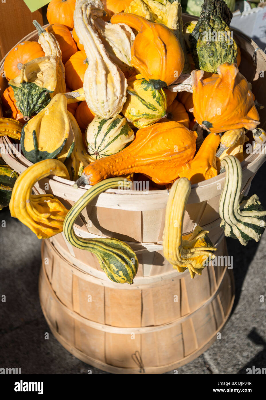 Ornamental Pumpkins High Resolution Stock Photography and Images - Alamy