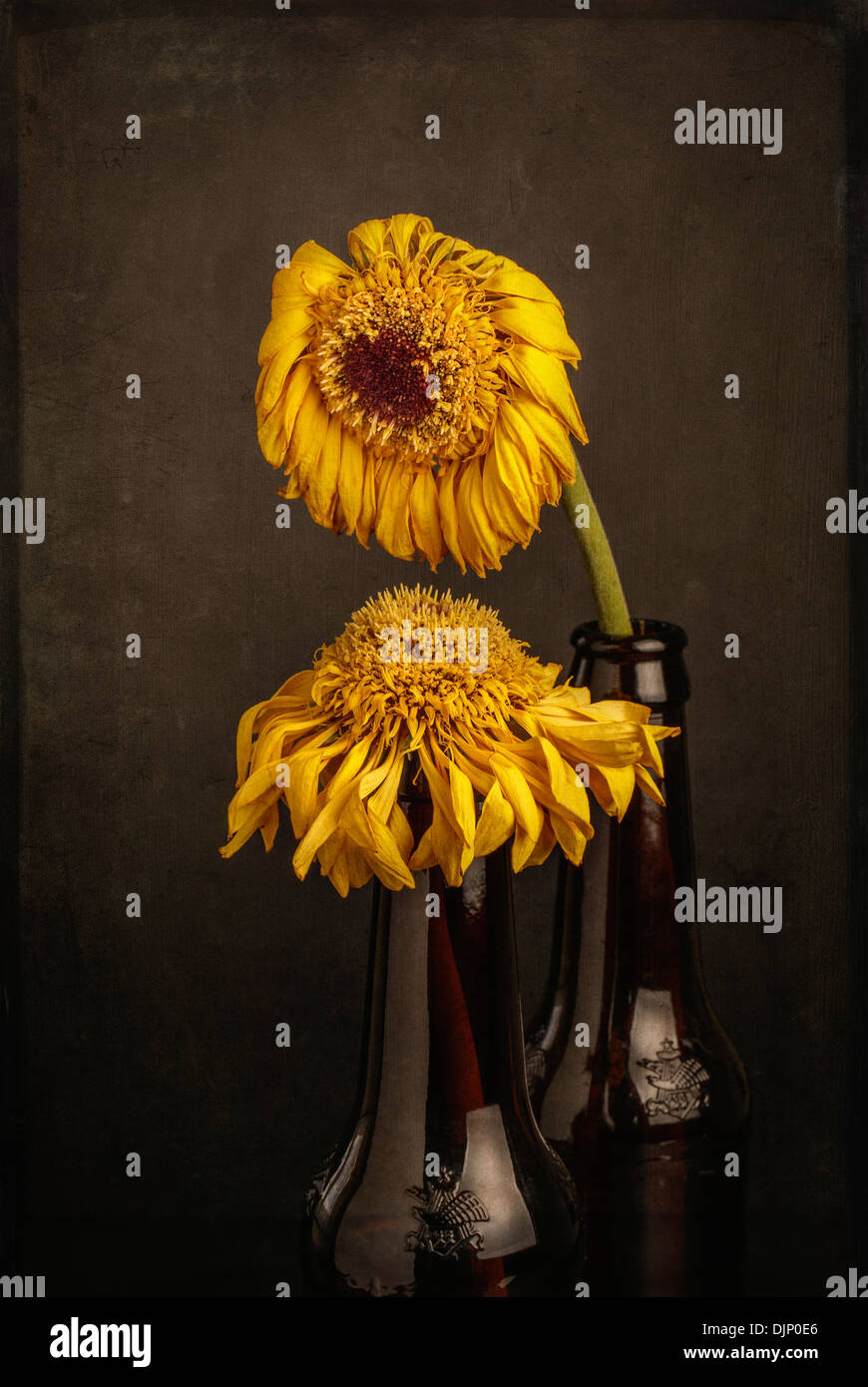 Drooping hi-res stock photography and images - Alamy