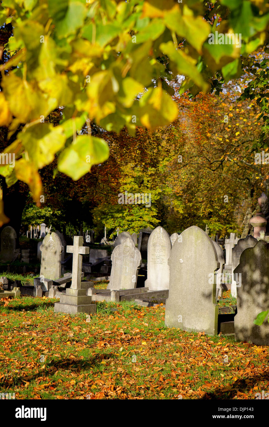 Grave stones on Sunny autumn day at the City of London Cemetery, London ...