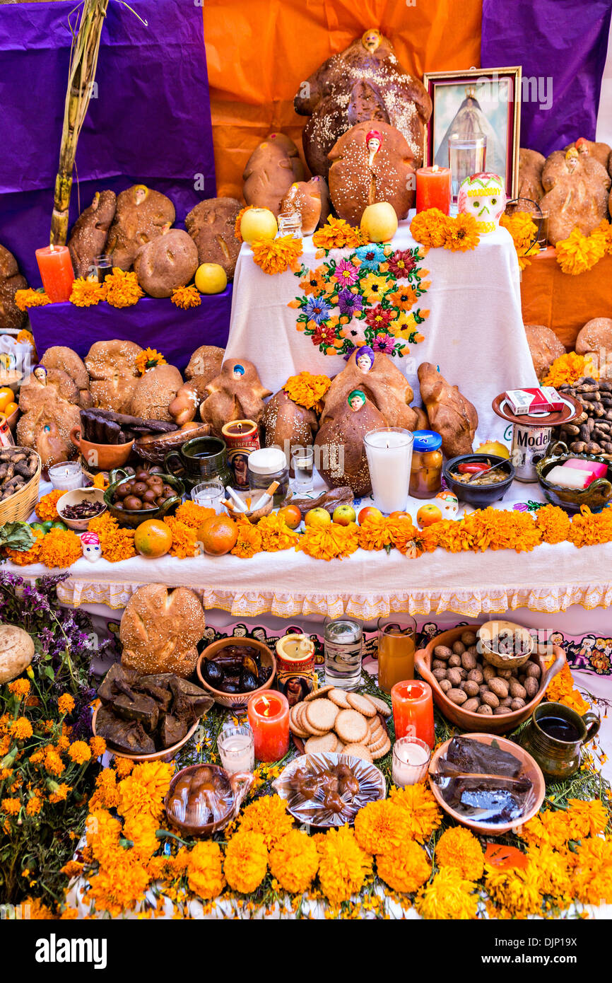 Day Of The Dead Ofrendas Project