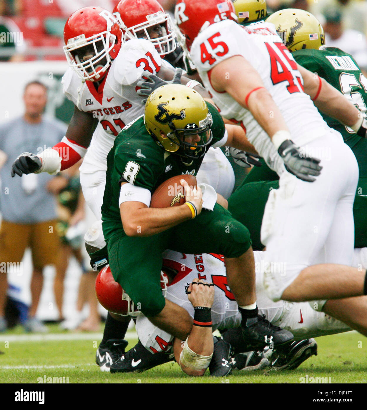 TP 297256 ALLE USF 18 (11/15/2008 Tampa) USF's quarterback Matt Grothe ...