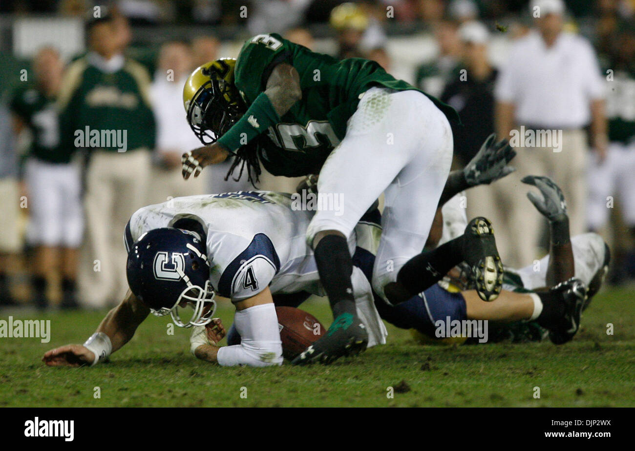 TP 293064 ALLE Bulls 14 (11/23/2008 Lakeland) UConn's quarter back ...