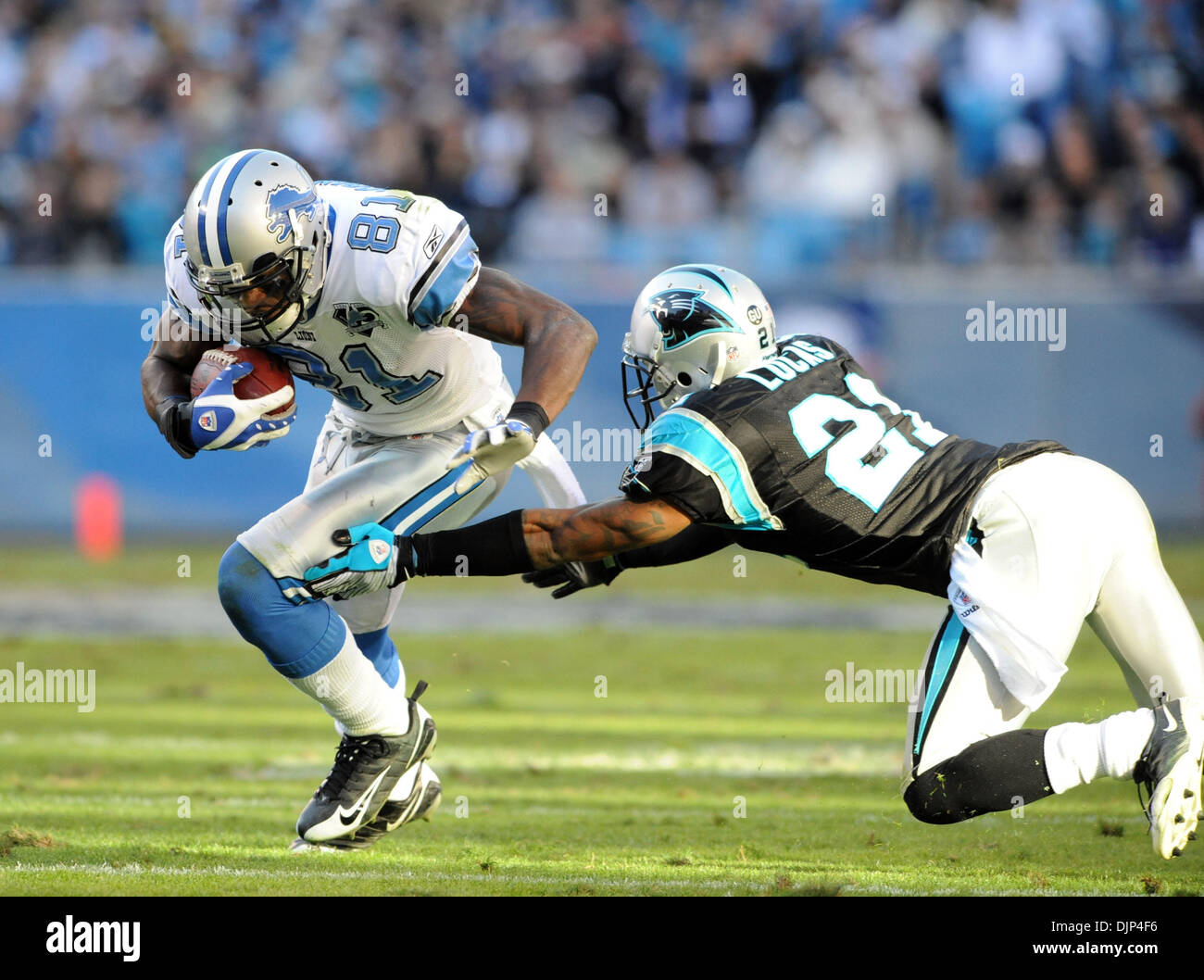 Nov 16, 2008 - Charlotte, North Carolina, USA - Detroit Lions (18) ERIC ...