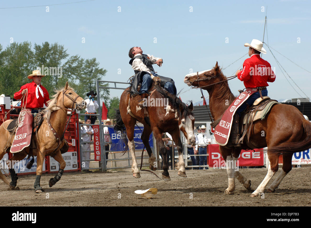 May 18, 2008 - Cloverdale, British Columbia, Canada - Cowboy competes ...