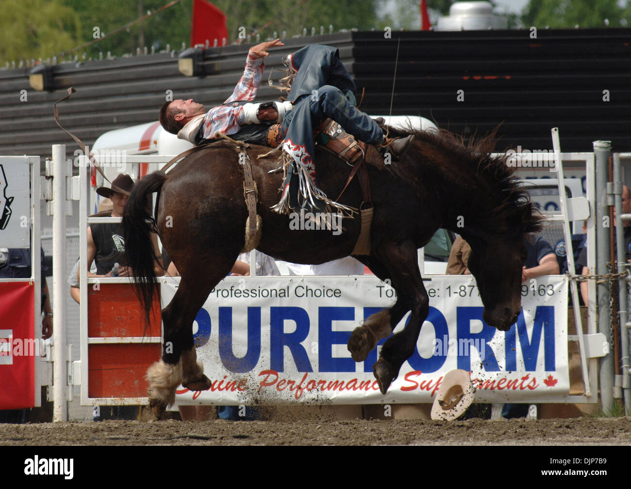May 18, 2008 - Cloverdale, British Columbia, Canada - Cowboy competes ...