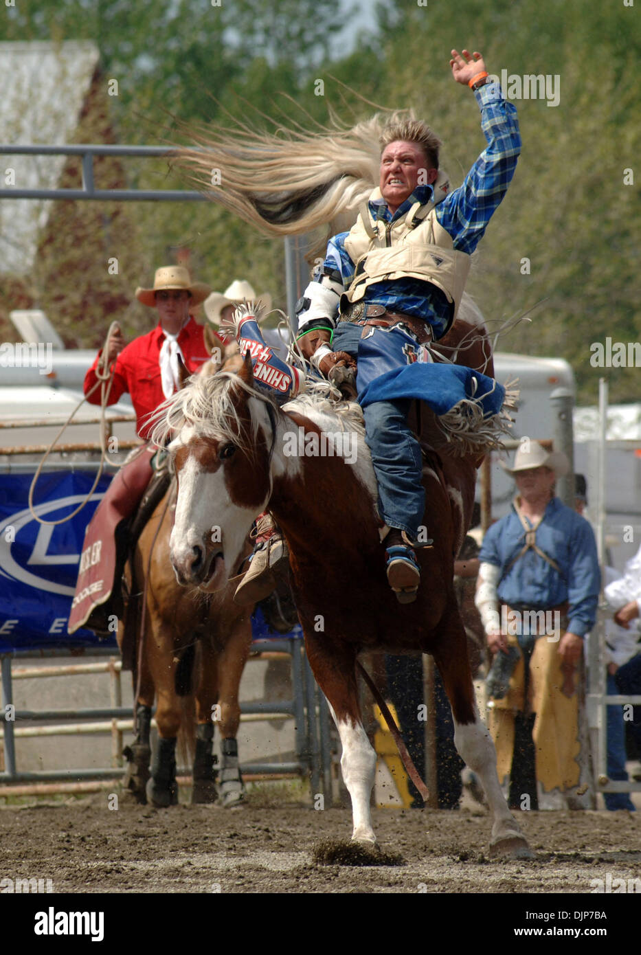 May 18, 2008 - Cloverdale, British Columbia, Canada - Cowboy competes ...