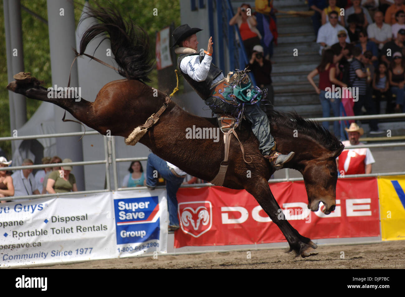 May 18, 2008 - Cloverdale, British Columbia, Canada - Cowboy competes ...