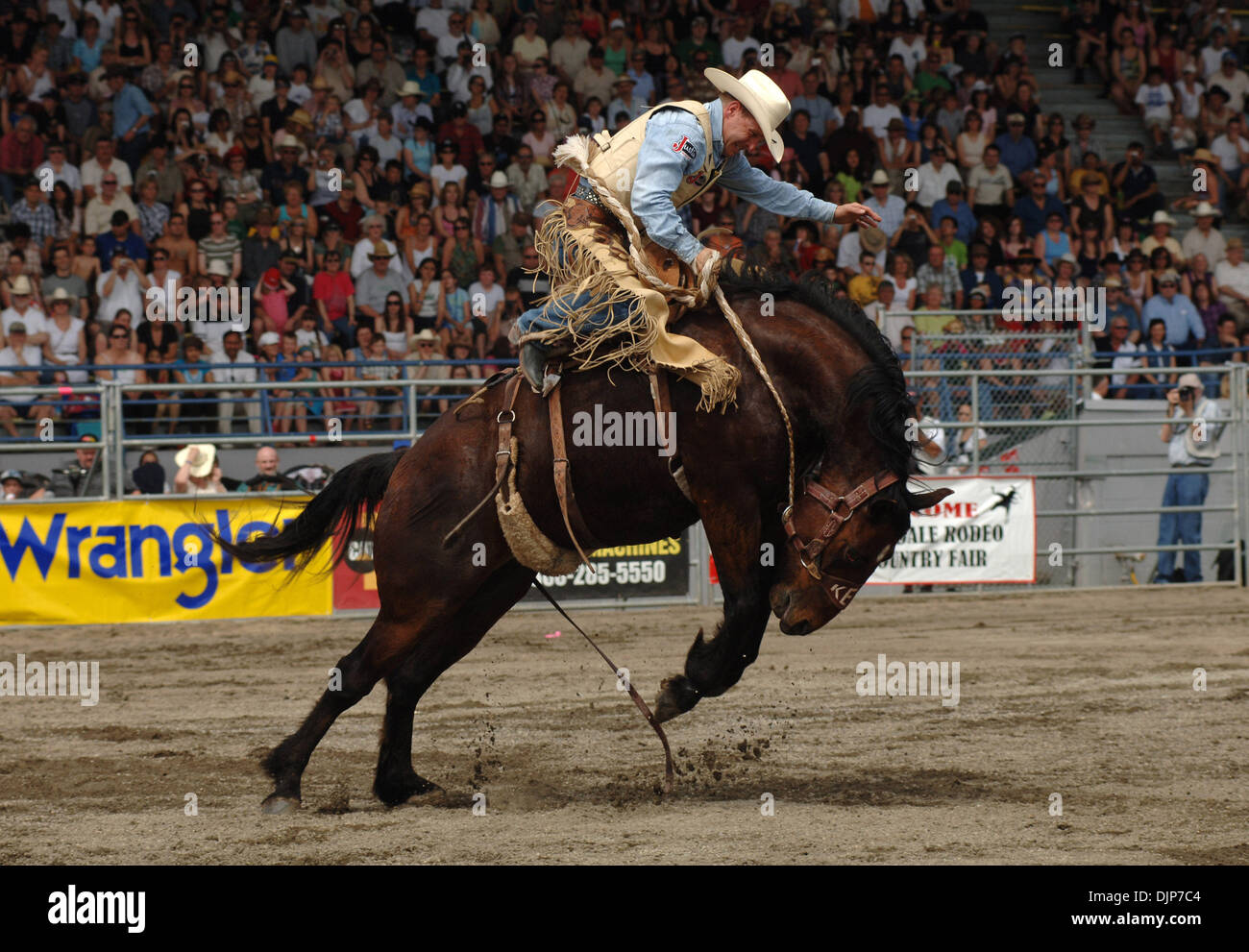 Cowboy competes in saddle bronc hi-res stock photography and images - Alamy