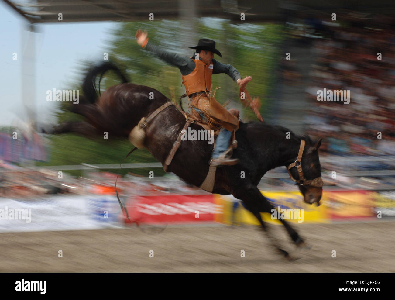 Cowboy competes in saddle bronc hi-res stock photography and images - Alamy