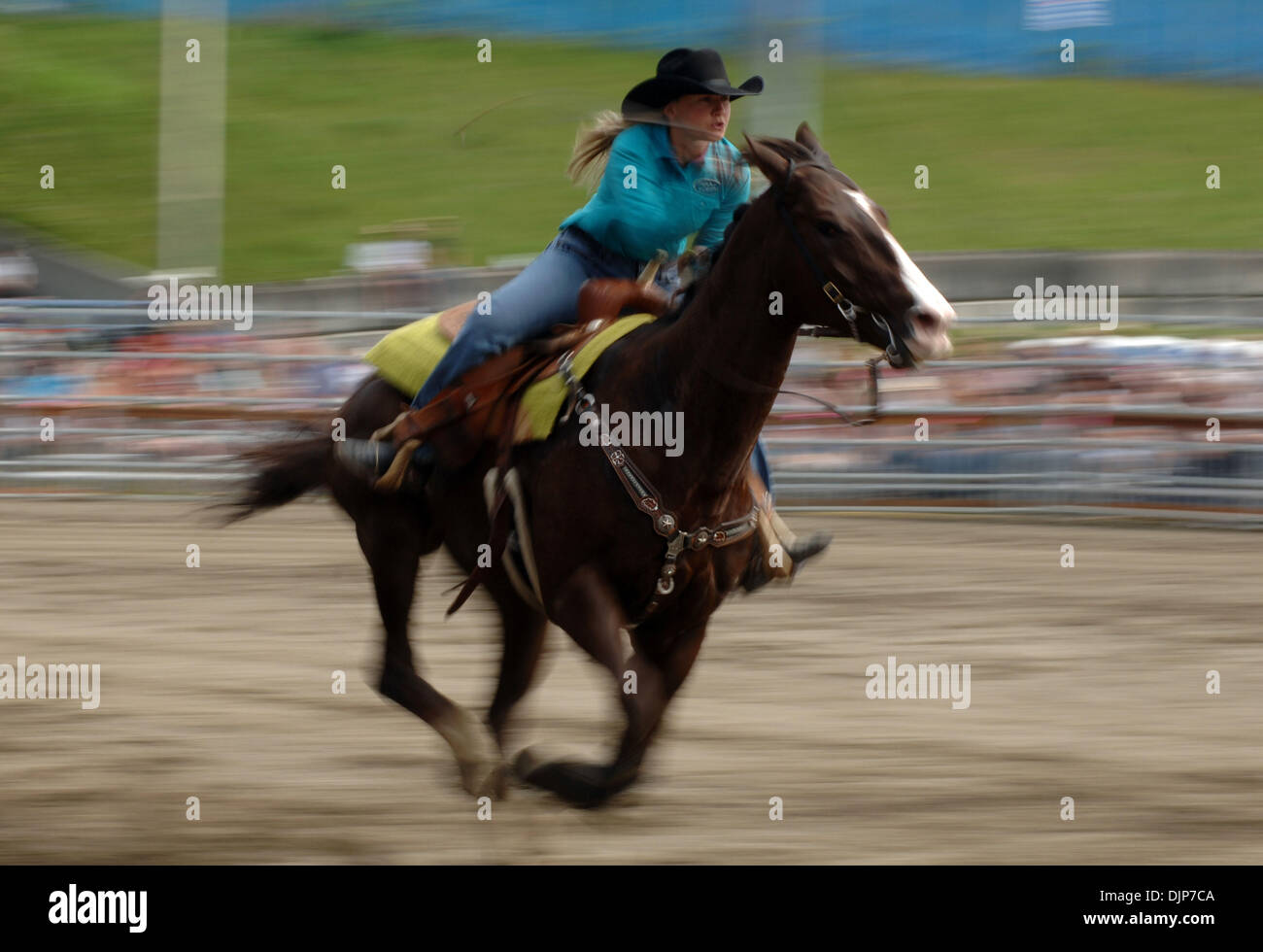May 18, 2008 - Cloverdale, British Columbia, Canada - Cowboy competes ...