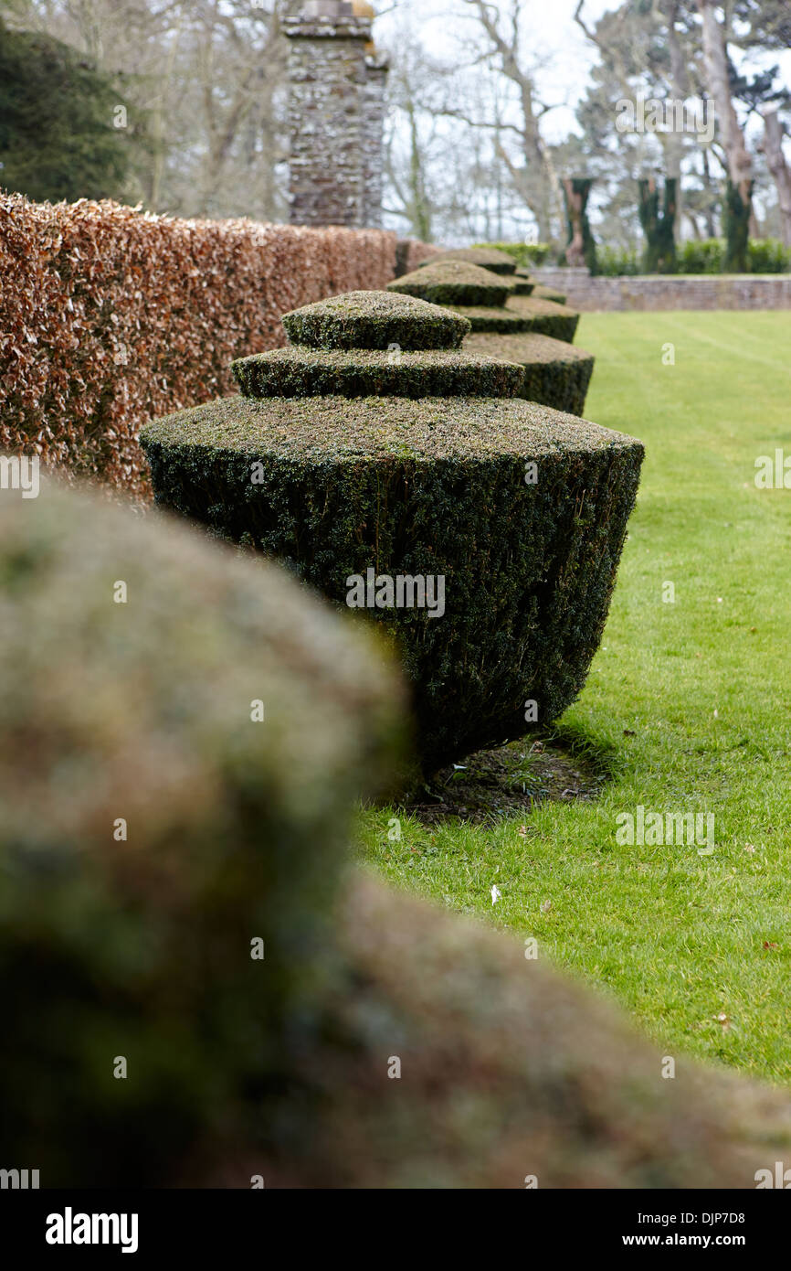 Topiary of hedges Stock Photo - Alamy