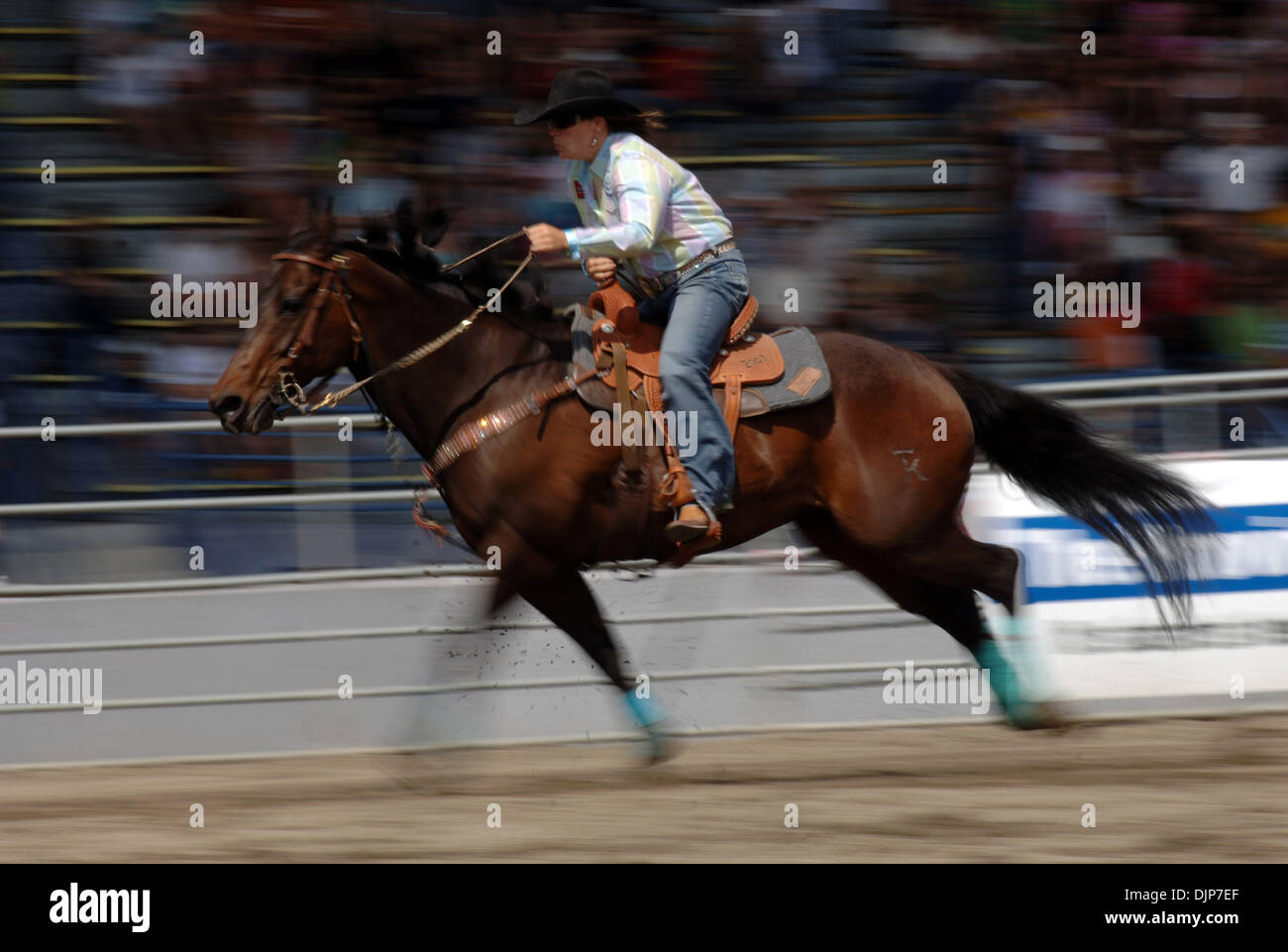 May 18, 2008 - Cloverdale, British Columbia, Canada - Cowboy competes ...